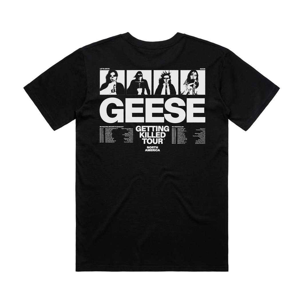 Geese – Geese Online